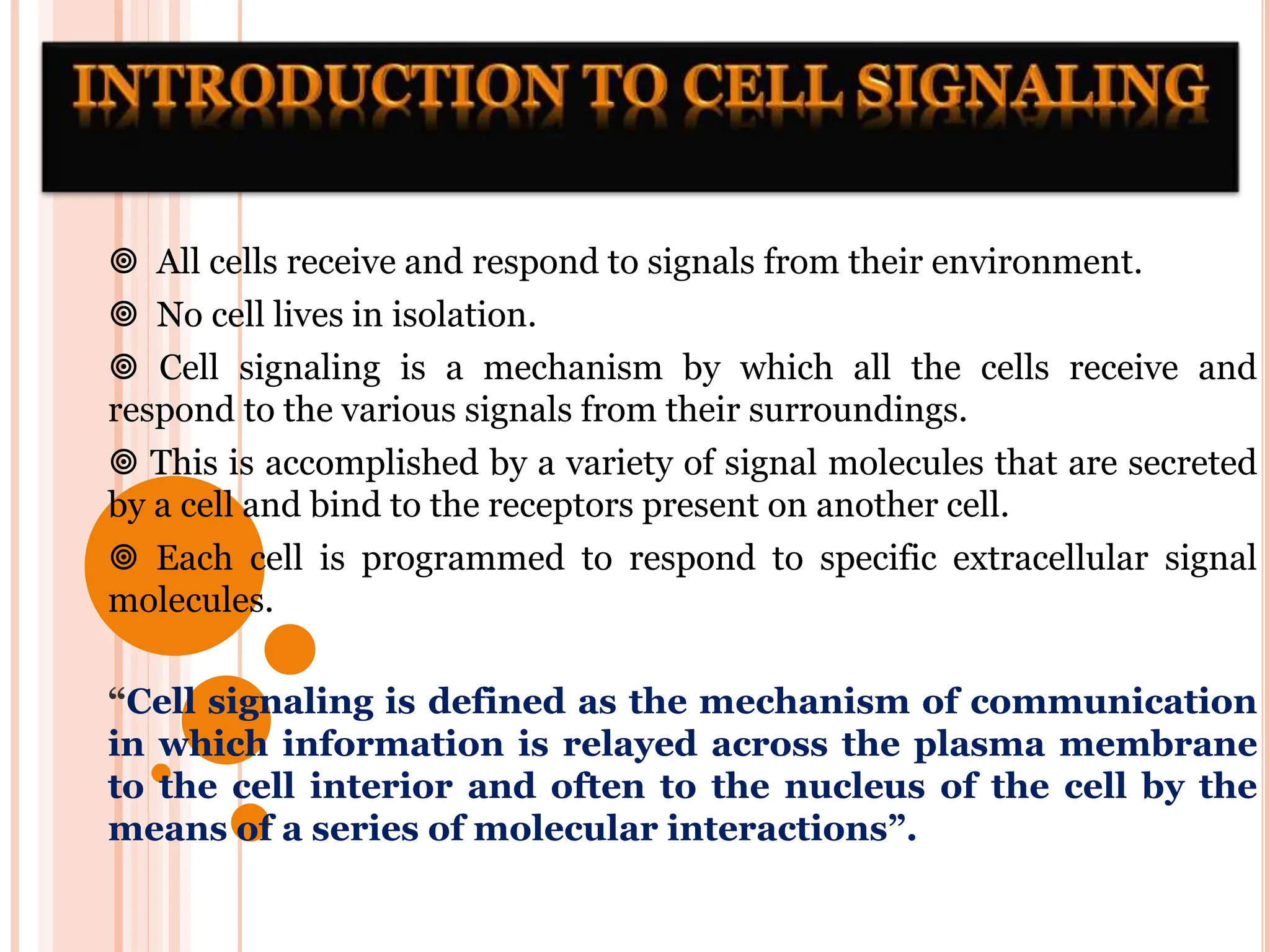 Cell Signalling Through Map Kinase And Jak Stat Pathway Pptx