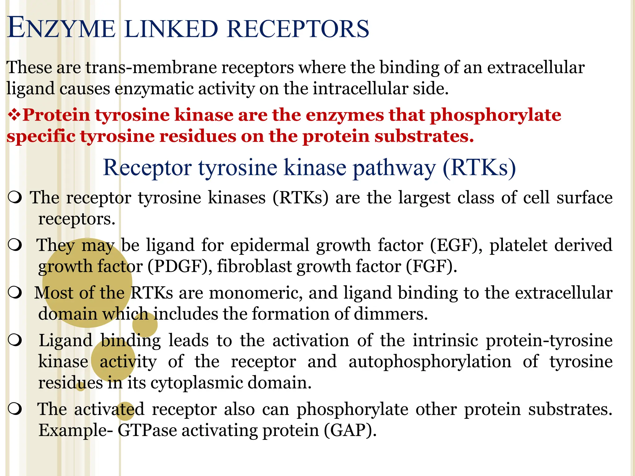 Cell signalling through MAP-Kinase and JAK STAT pathway.pptx