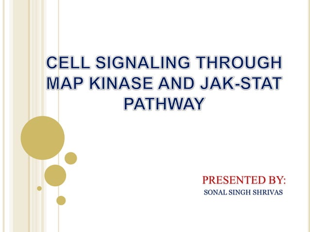 Cell signalling through MAP-Kinase and JAK STAT pathway.pptx ...