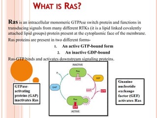 Cell signalling through MAP-Kinase and JAK STAT pathway.pptx