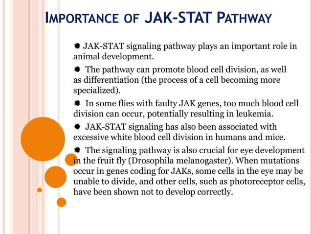 Cell signalling through MAP-Kinase and JAK STAT pathway.pptx ...