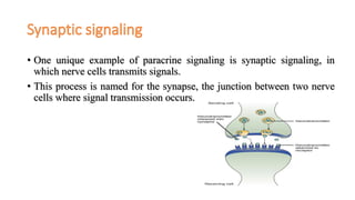 Cell signalling | PPTX