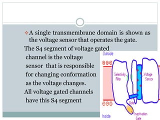 Voltage Operated channel, Receptor Operated channel, Second messenger ...