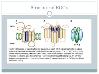 Voltage Operated channel, Receptor Operated channel, Second messenger ...