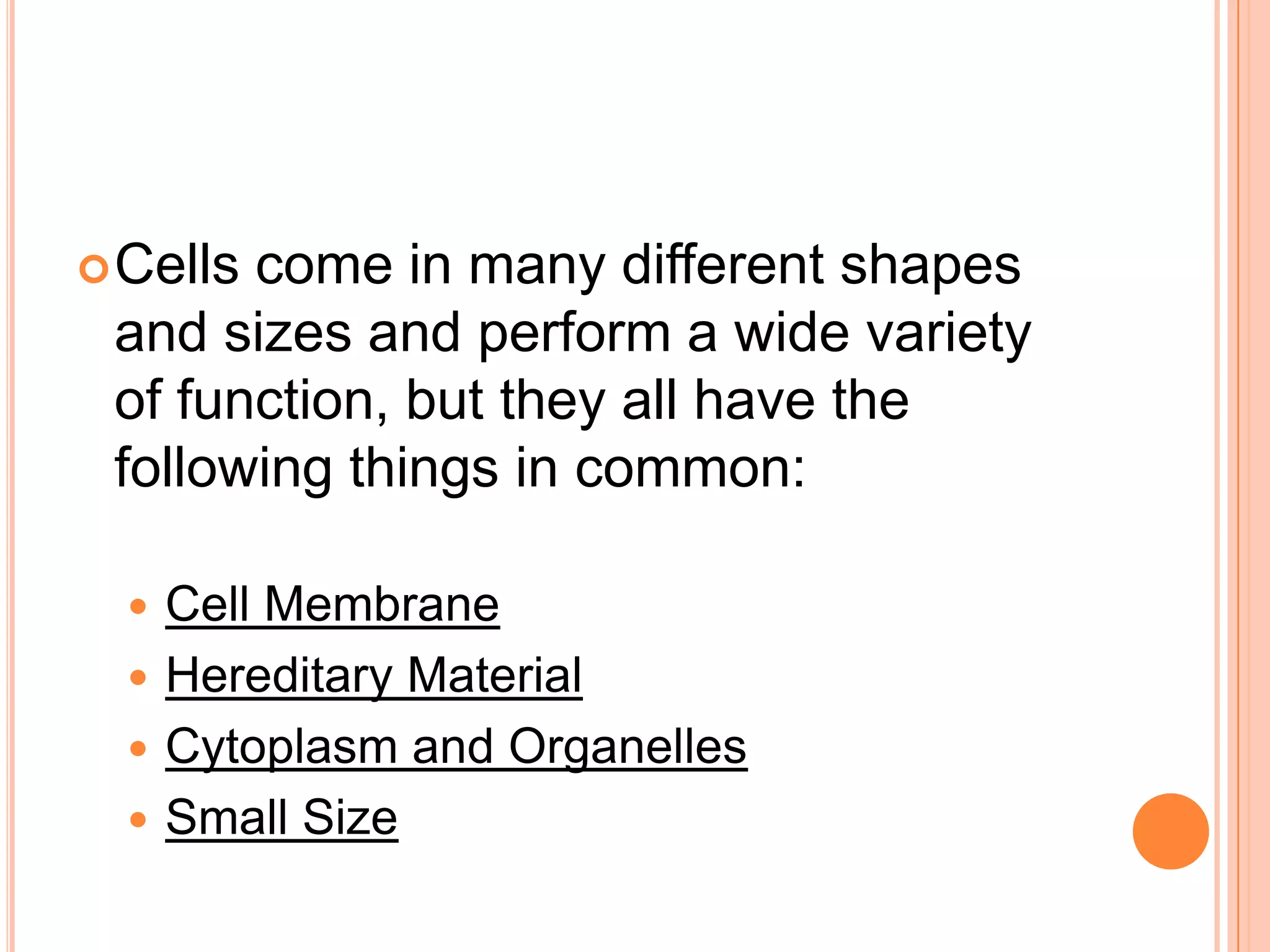 Cell Similarities | PPTX | Biological Sciences | Science