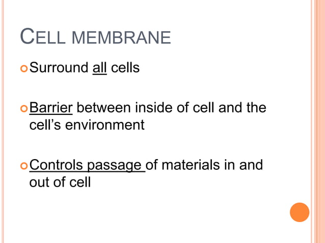 Cell Similarities | PPTX | Biological Sciences | Science
