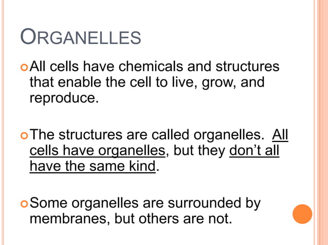 Cell Similarities | PPTX | Biological Sciences | Science