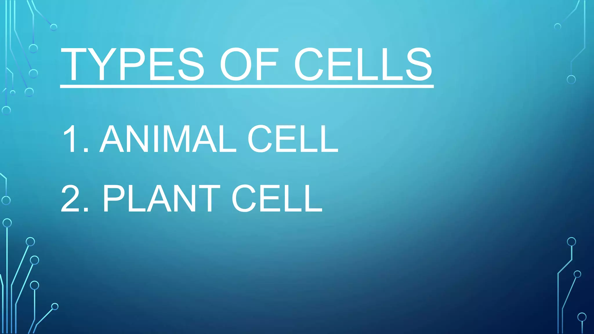 cells in biology | PPT