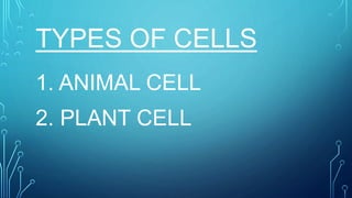 cells in biology | PPTX