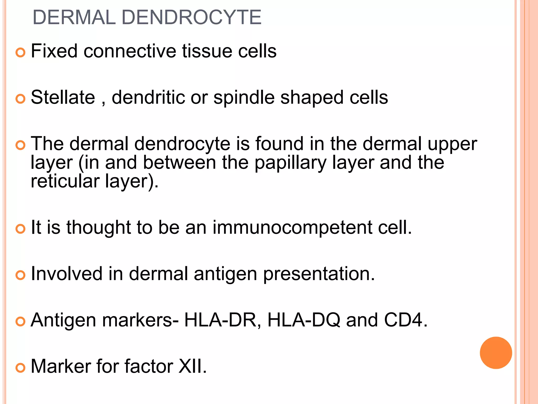 Cells in dermis | PPTX