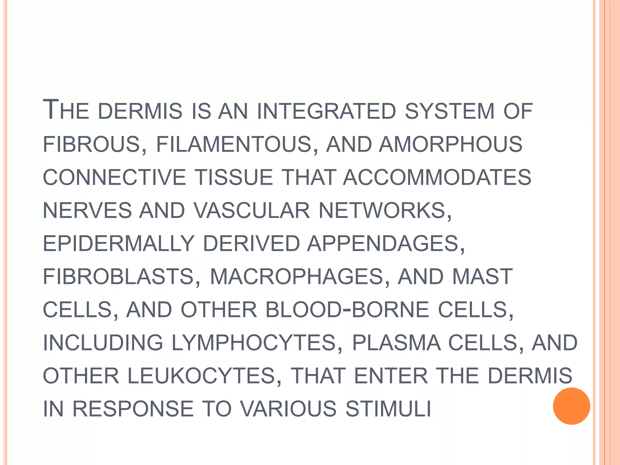 Cells in dermis | PPTX