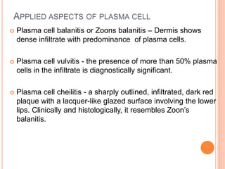 Cells in dermis | PPTX