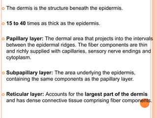 Cells in dermis | PPTX