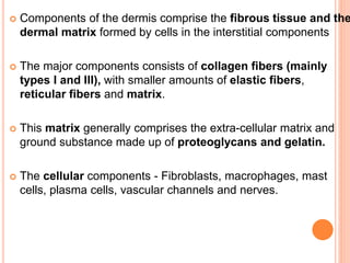 Cells in dermis | PPTX