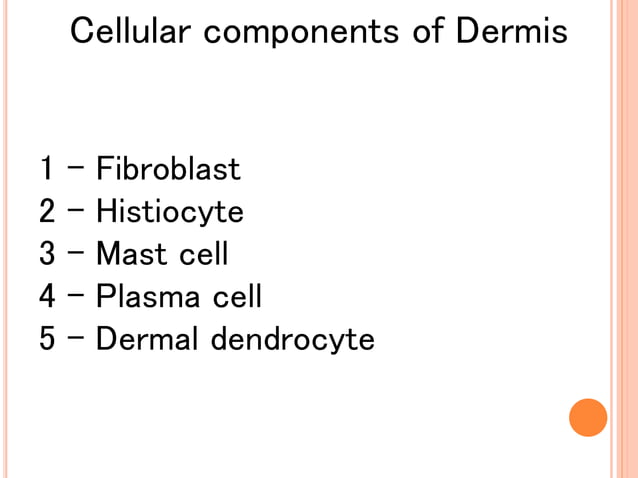 Cells in dermis | PPTX | Skin and Dermatology | Diseases and Conditions