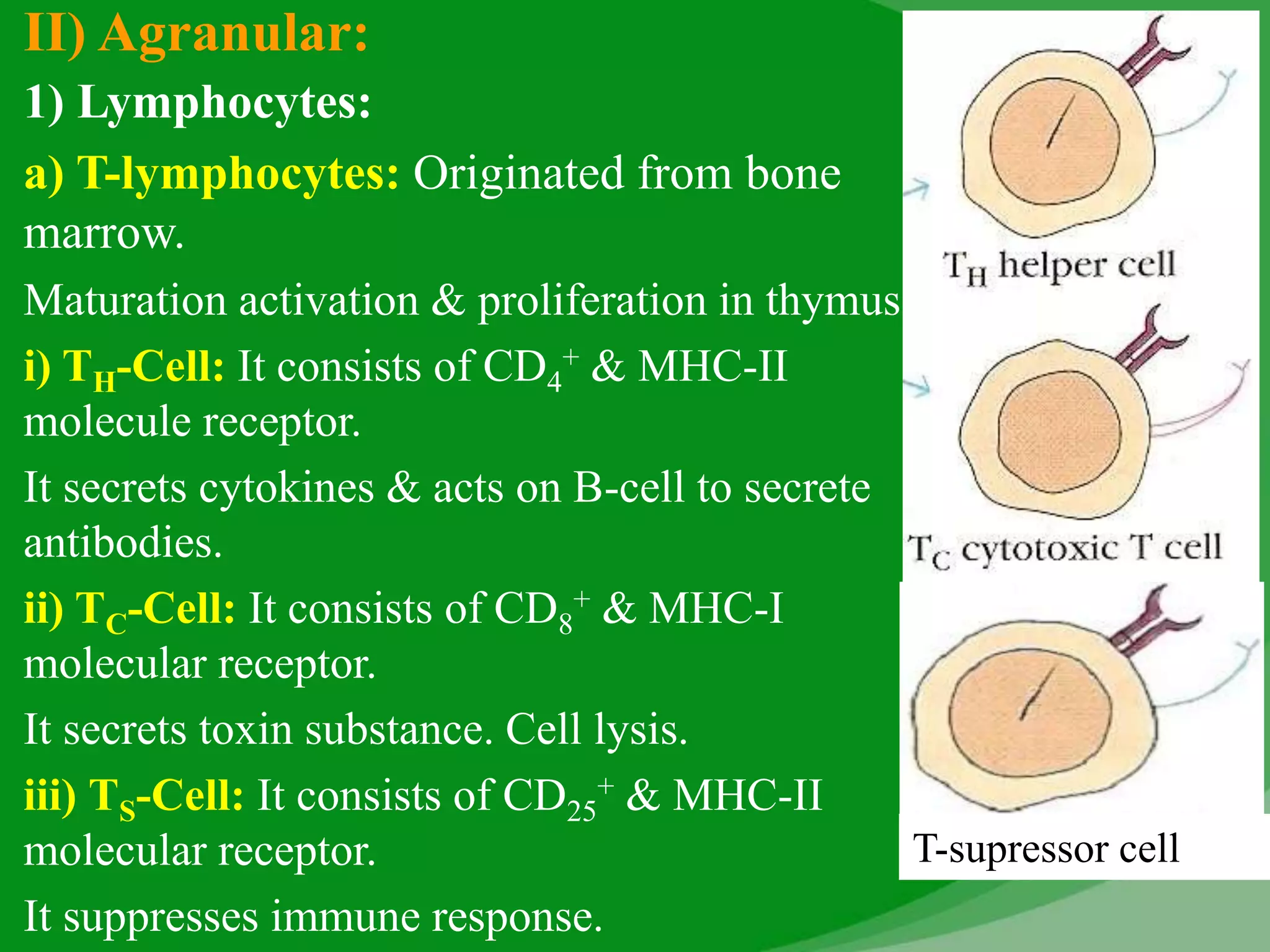 Cells in the immune system | PPT