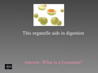 Cells Jeopardy | PPT
