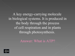 Cells Jeopardy | PPT | Biological Sciences | Science