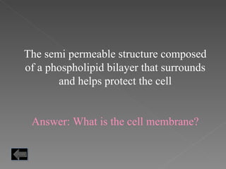 Cells Jeopardy | PPT | Biological Sciences | Science
