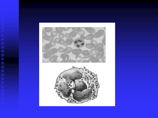 Cells Labelling & Non Imaging Procedures | PPTX