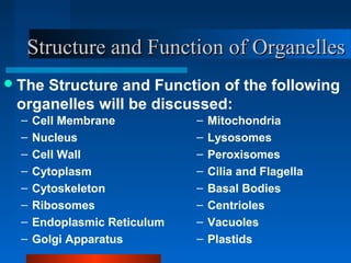 Cells structure | PPT