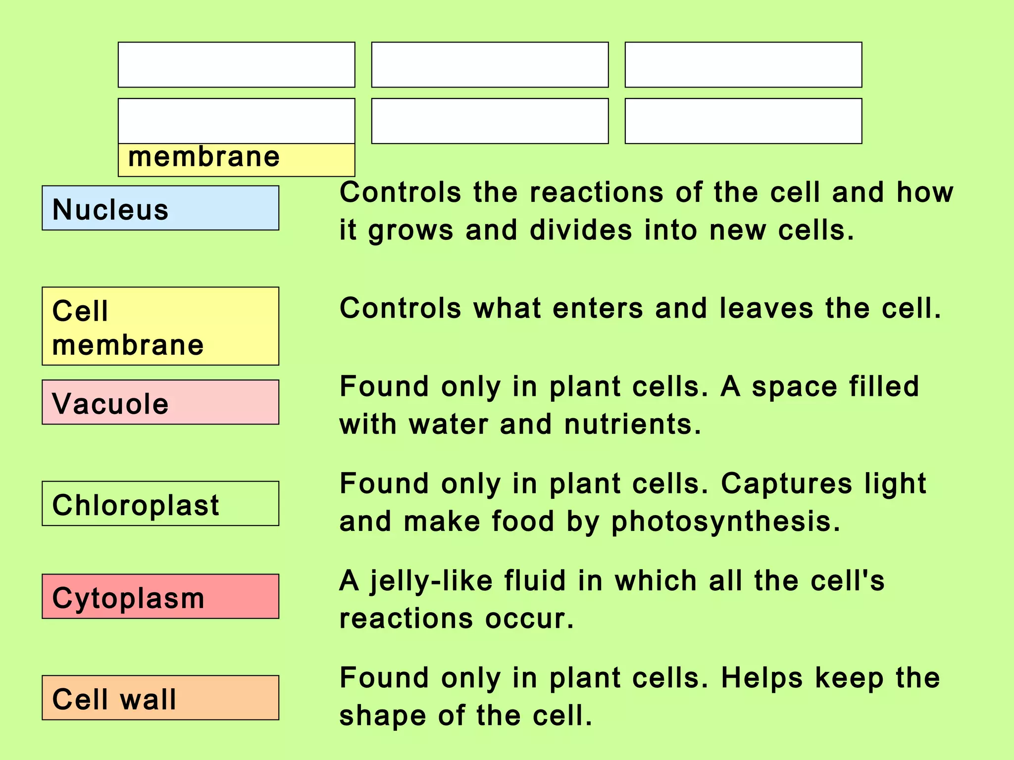 Cells lesson 1 | PPT