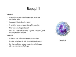 Cells of immune | PPTX