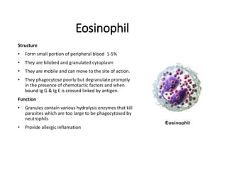 Cells of immune | PPTX