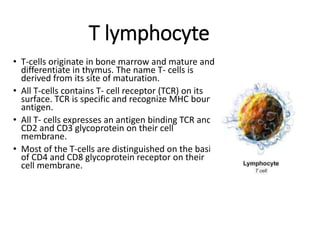 Cells of immune | PPTX