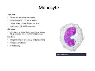 Cells of immune | PPTX