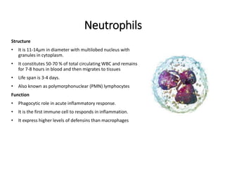 Cells of immune | PPTX