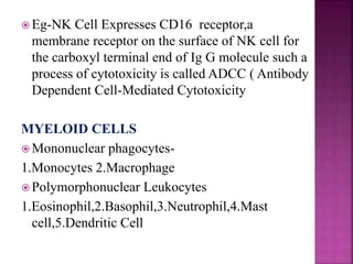 Cells of the immune system, Overview of immune cells. Immune cells | PPTX