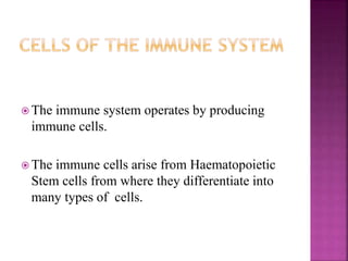 Cells of the immune system, Overview of immune cells. Immune cells | PPTX