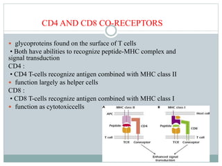 Cells of immune system | PPTX