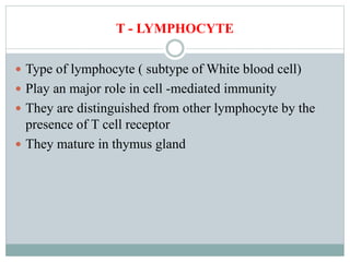 Cells of immune system | PPTX