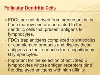 Cells of immune system | PPTX | Blood Disorders | Diseases and Conditions