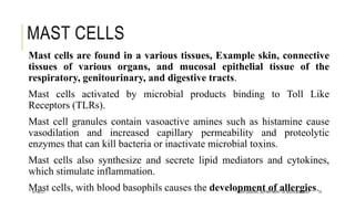Cells of immune system | PPT
