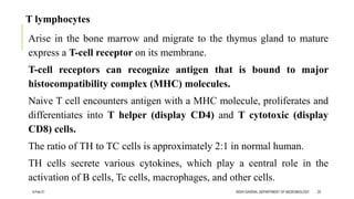 Cells of immune system | PPT