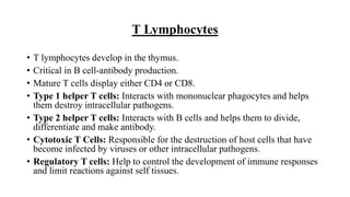 Cells of immune system | PPTX