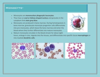 cells of immune system.pdf