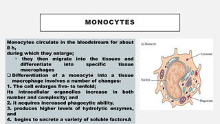 Cells of immune system by pranzly.ppt