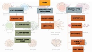 Cells of immune system by pranzly.ppt