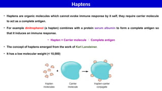 Cells of Immune System - Microbiology Exam Point of View | PPTX
