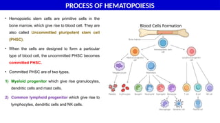 Cells of Immune System - Microbiology Exam Point of View | PPTX