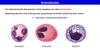 Cells of Immune System - Microbiology Exam Point of View | PPTX