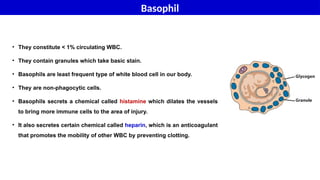 Cells of Immune System - Microbiology Exam Point of View | PPTX