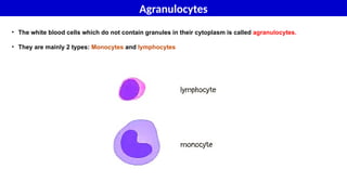 Cells of Immune System - Microbiology Exam Point of View | PPTX