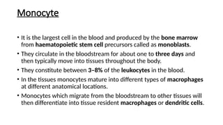 CELLS OF IMMUNE SYSTEM in full details.pptx