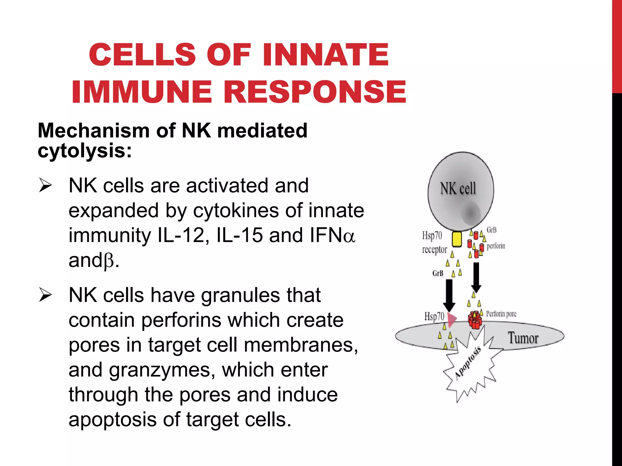 cells of innate immune response.pdf