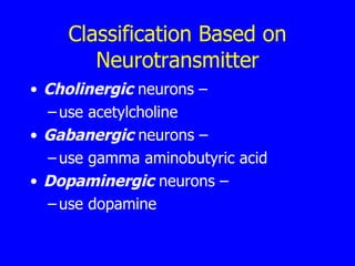 Cells of Nervous System | PPT